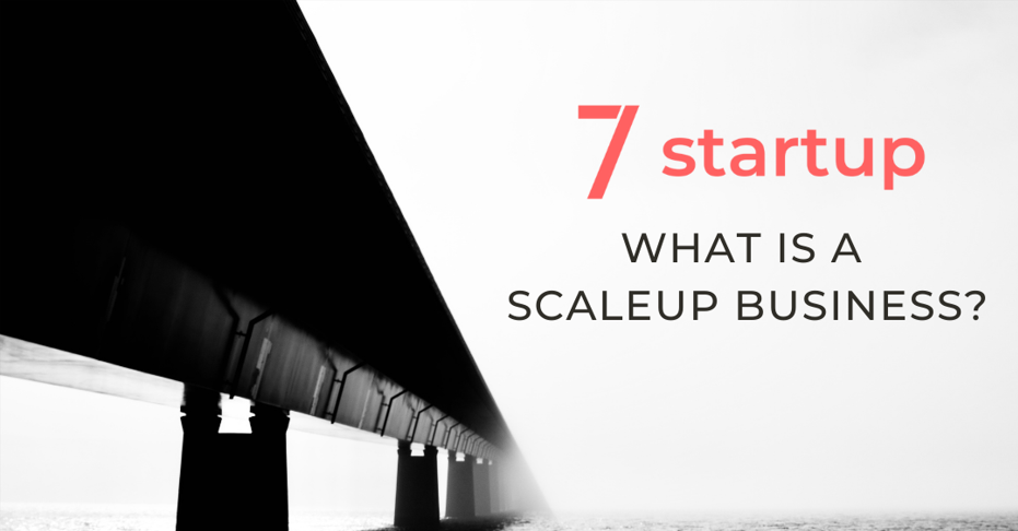 What is a Scaleup Business? - 7startup